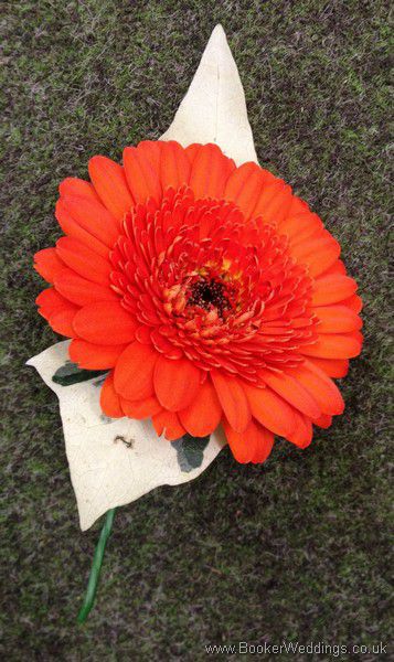 Wedding Flowers Liverpool, Merseyside, Bridal Florist, Booker Flowers ...